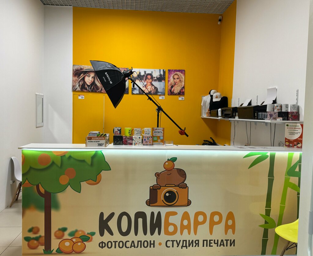 Fotoğraf hizmetleri Copybarra, Aprelevka, foto