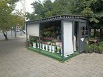 Магазин цветов (Yerevan, Sayat-Nova Avenue), çiçekçiler  Erivan'dan