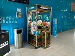 VendingGame (Zapadnaya ulitsa No:181, Urban-Type Settlement of Novoivanovskoe), oyun makinesi  Moskova ve Moskovskaya oblastından