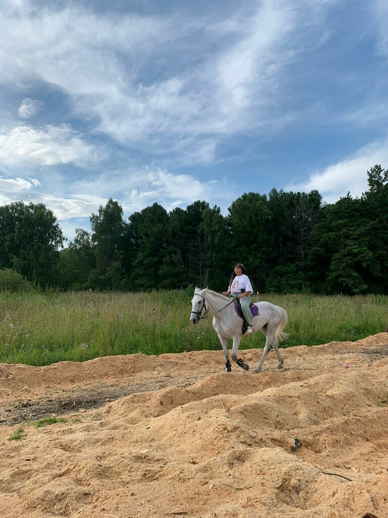At ve binicilik kulüpleri Конное ранчо, Tomskaya oblastı, foto
