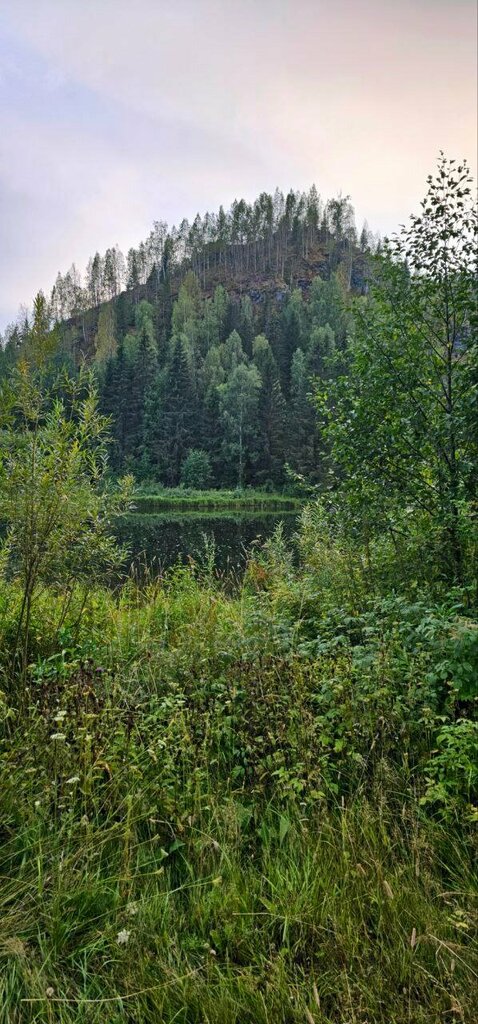 Dağ zirvesi Соколиная гора, Permski krayı, foto