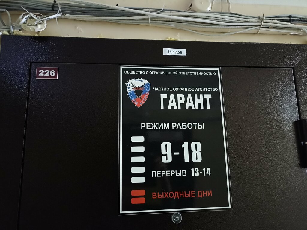 Güvenlik firmaları Гарант, Tynda, foto