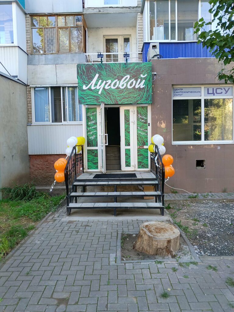 Market Магазин Луговой, Balakovo, foto