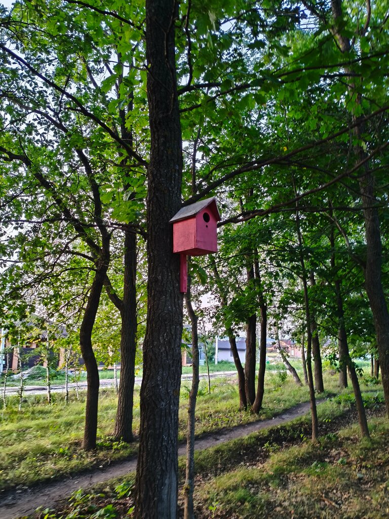 Orman аллея Святых Петра и Февронии Муромских, Stariy Oskol, foto