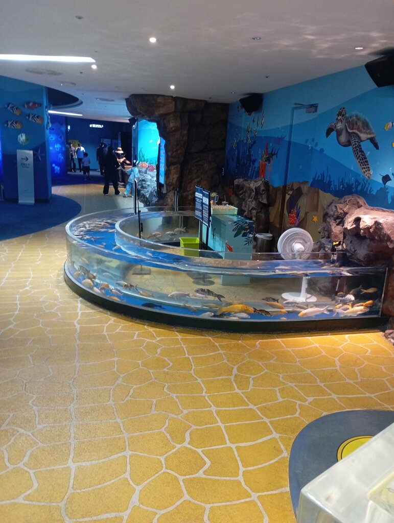 Akvaryumlar Lotte World Aquarium, Seul, foto