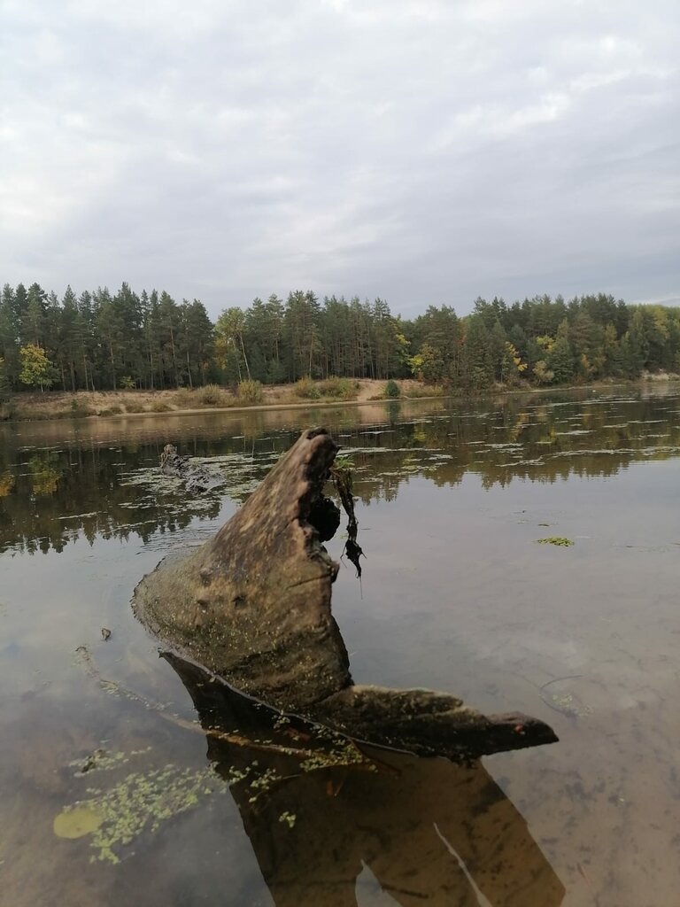 Plaj Пляж, Mariy El Cumhuriyeti, foto