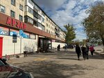 Pet and Plant Goods Store (No:13, 23-shі shaǵyn aýdan), petshop  Karağandı'dan