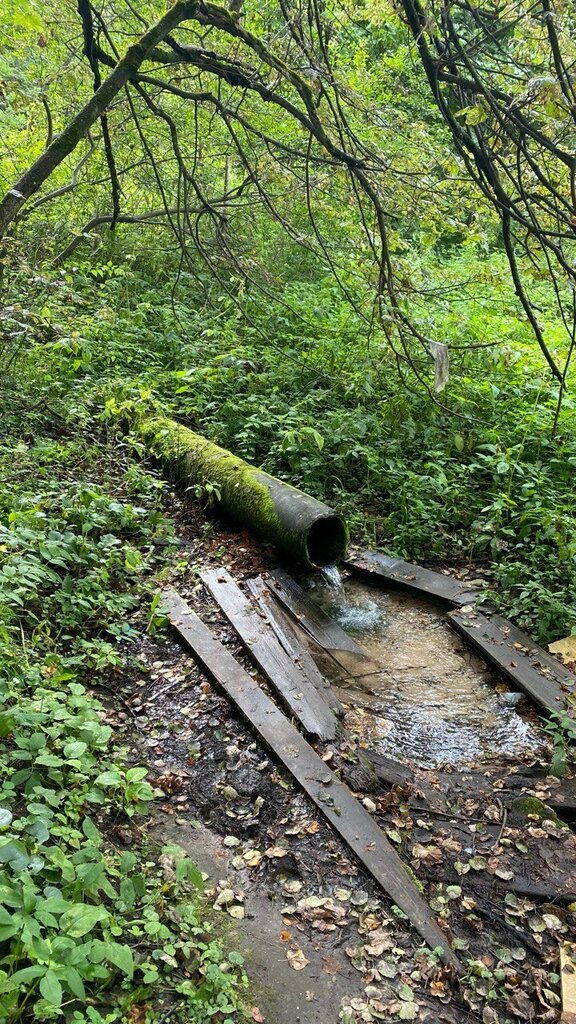 Pınar, çay Spring, stream, Tulskaya oblastı, foto