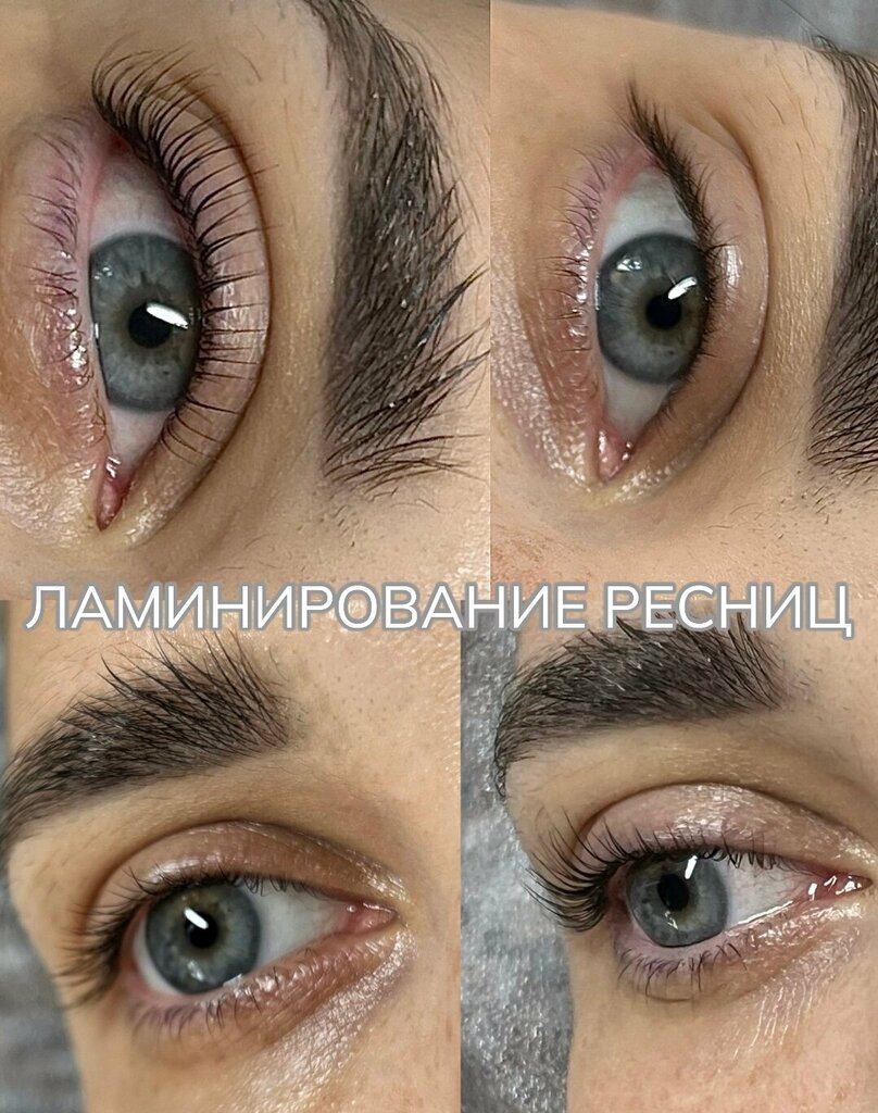 Kaş ve kirpik salonu Lashes•Brows, Vladimir, foto