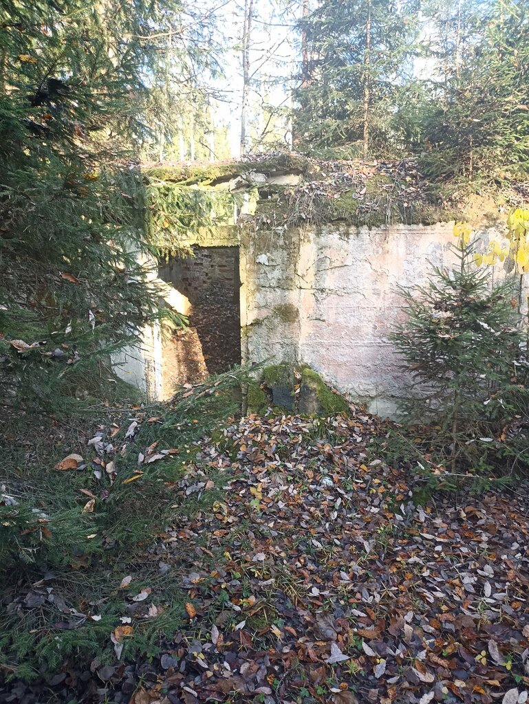 Anıt levhası, anıt taş Сотрудникам детского дома Нерочь, Brestskaya oblastı, foto