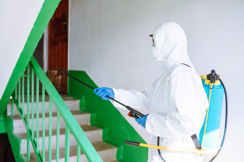 Haşere ilaçlama firmaları The Karbofosov brothers, Moskova, foto