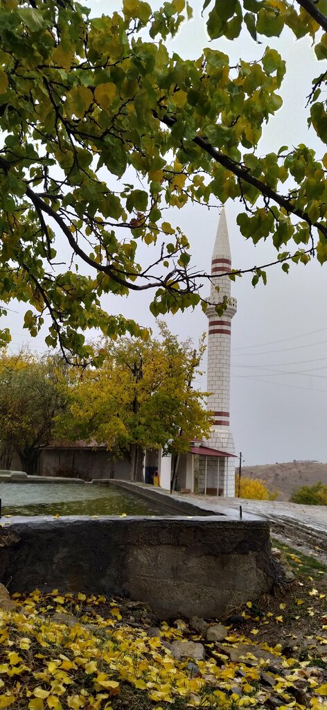 Cami İçlikaval Köyü Cami, Baskil, foto
