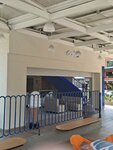 Dari - Colon Plaza (Valle del Cauca, Municipio de Santiago de Cali, Carrera 1), dondurmacılar  Cali'den