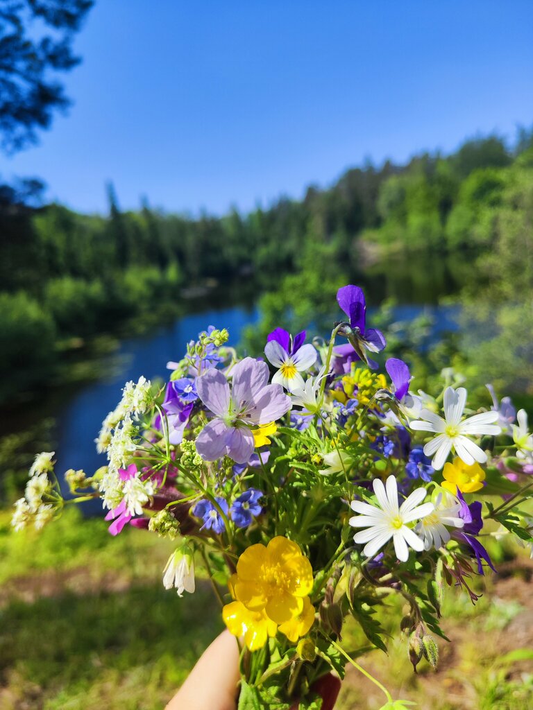 Turistik yerler Place of solitude of Hegumen Damaskin, Karelya, foto