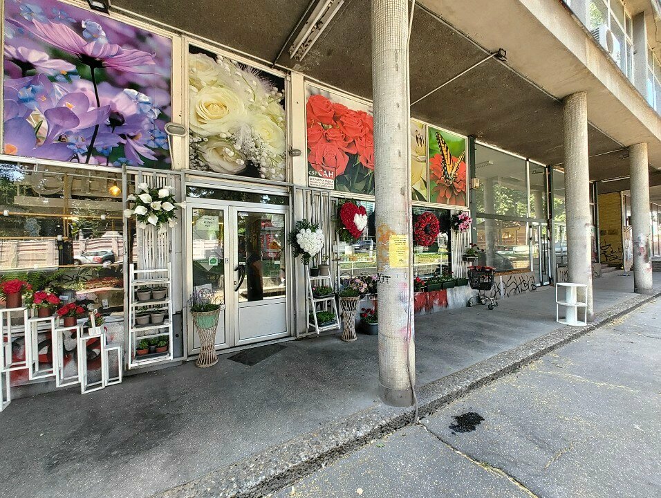 Çiçekçiler Cvećara San, Belgrad, foto