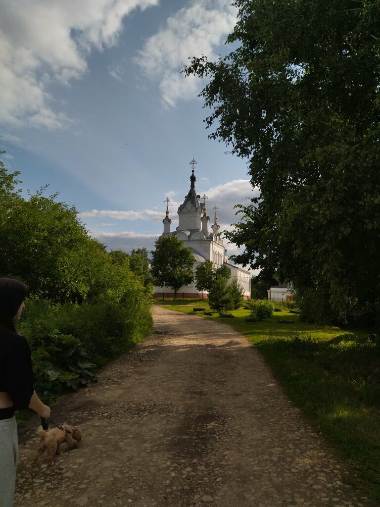 Ortodoks kiliseleri Церковь Николая Чудотворца, Nijegorodskaya oblastı, foto