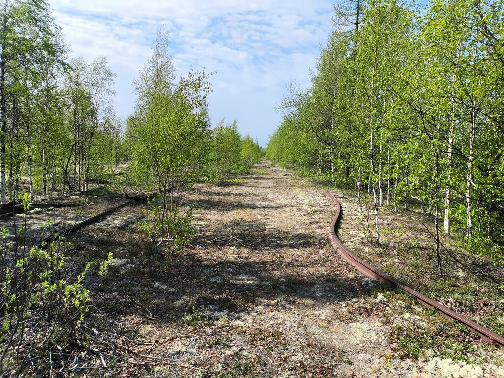 Unutulmaz olayların yeri Разъезд Глухариный стройки № 501, Yamal‑Nenets Özerk Bölgesi, foto