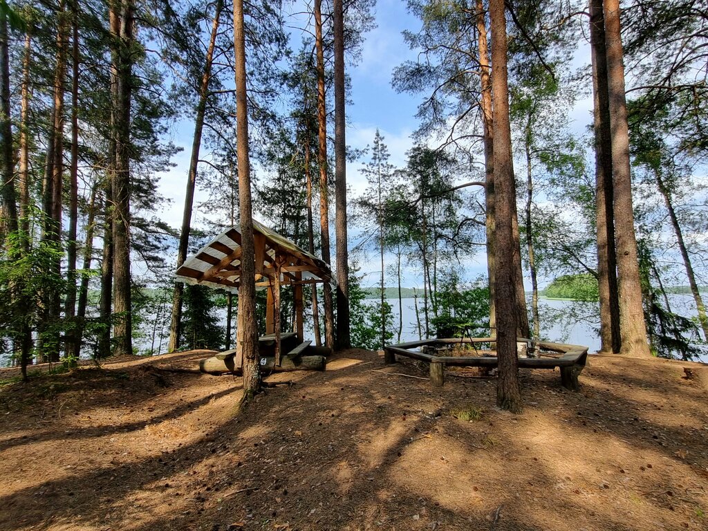 Doğa koruma alanı Федеральное государственное бюджетное учреждение Национальный парк Смоленское Поозерье, Smolenskaya oblastı, foto