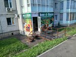 Beer House (Verbnaya Street No:6), bira dükkanı  Krasnoyarsk'tan