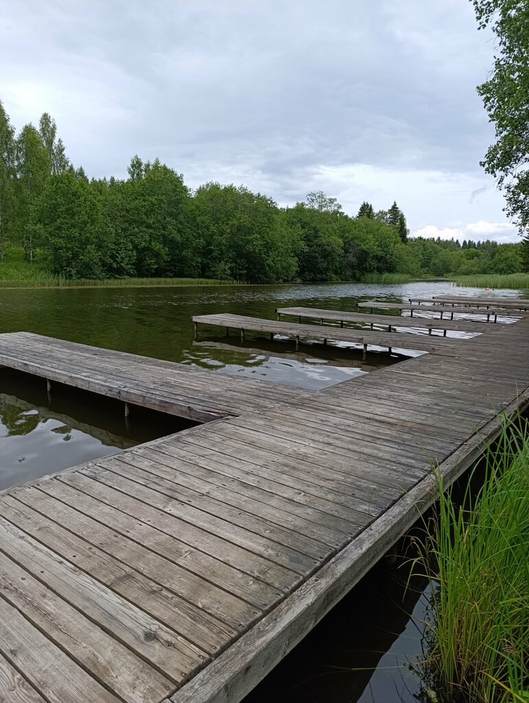 Plaj Beach, Moskova ve Moskovskaya oblastı, foto
