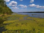 Jetty  (Ryazan Region, Rybnovskiy rayon, Kuzminskoye selskoye poseleniye), i̇skele  Riazanskaya oblastından