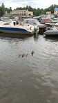Водно-моторный клуб Сестрорецкий (ulitsa Instrumentalshchikov No:10), limanlar  Sestroretsk'ten