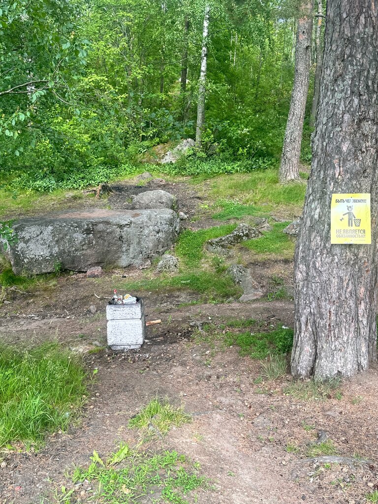 Plaj Пляж, Vyborg, foto