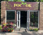 Росток (ulitsa Dzerzhinskogo No:1), çiçekçiler  Gvardeysk'ten