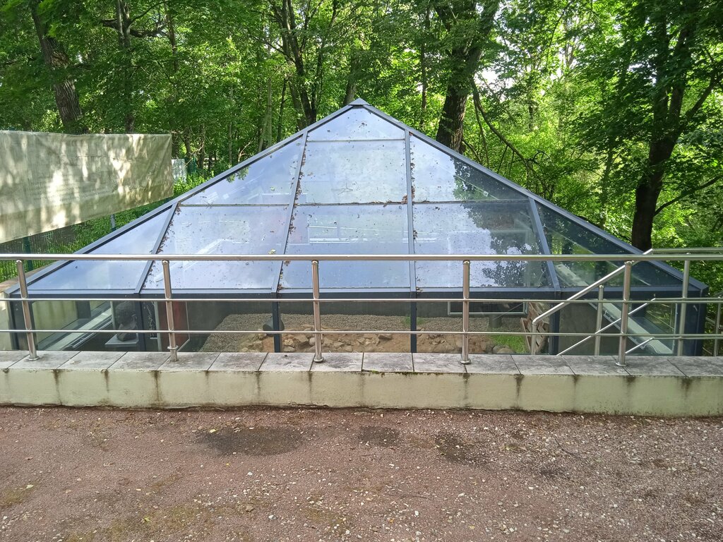 Turistik yerler Старый погреб усадьбы Д.В. Давыдова, Moskova ve Moskovskaya oblastı, foto