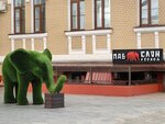 Elephant And Malt (Internatsionalnaya Street No:22), bar  Tambov'dan