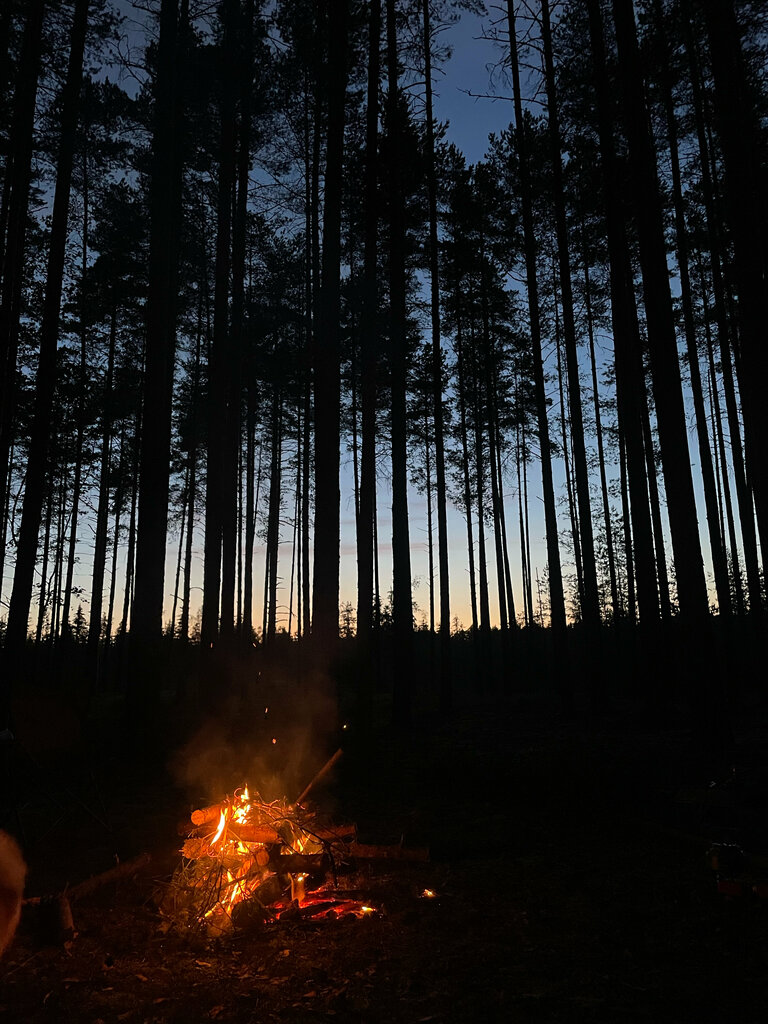 Çardak Gazebo, Novgorodskaya oblastı, foto
