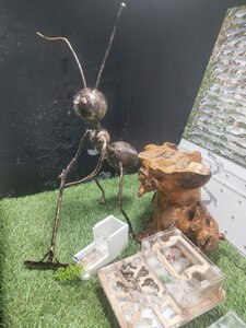 Планета Мурашей (Kurortny bulvar No:15, Kislovodsk), müzeler ve sanat galerileri  Kislovodsk'tan