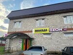 Avokado (No:50, Rakovo Village), market  Moskova ve Moskovskaya oblastından
