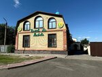 Hazret Ali Mosque (Vısokovoltnaya street No:1А), cami  Karağandı'dan