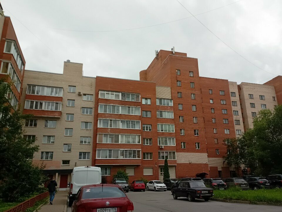 Evcil hayvan yetiştiricileri Плюшевый штиль, Saint‑Petersburg, foto