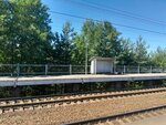 Остановочный пункт Геройская (Leningrad Region, Kirovskiy District, gorodskoy posyolok Pavlovo), tren istasyonu  Saint‑Petersburg ve Leningradskaya oblastından