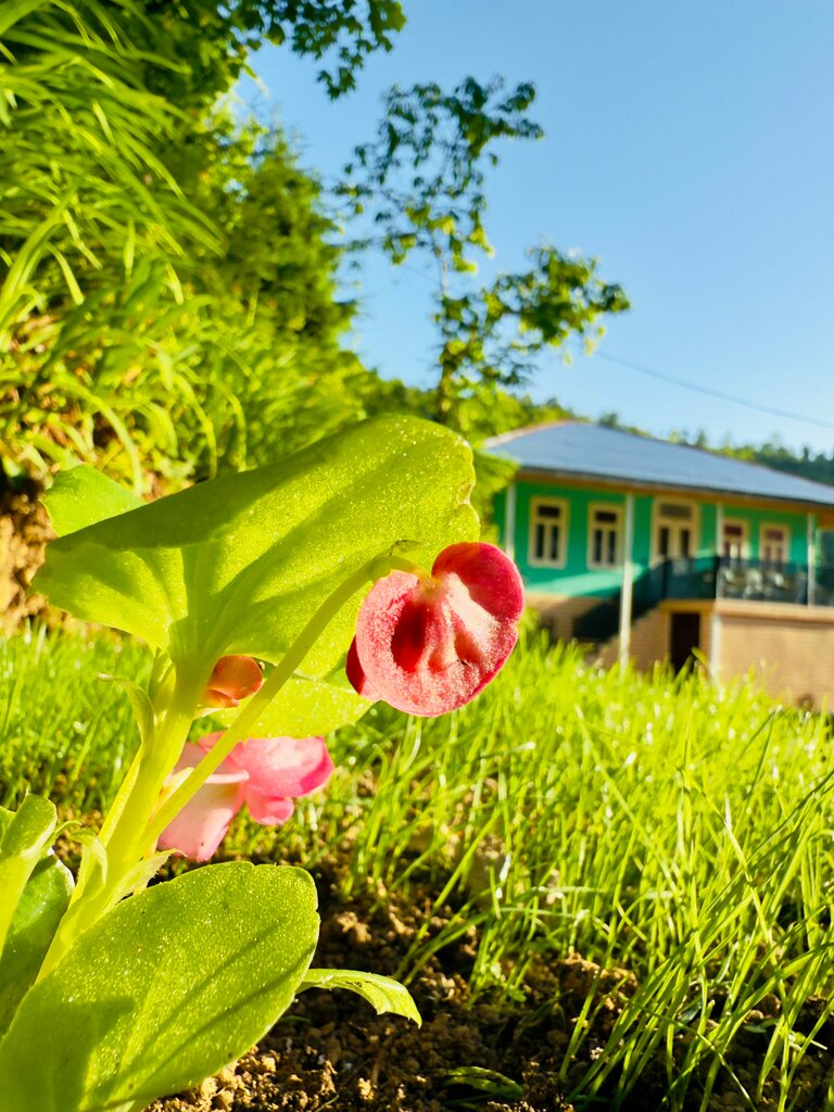 Konuk evi Guest House Akutsa, , foto