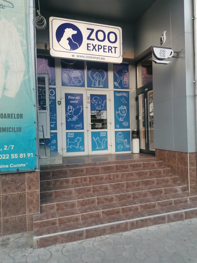 Petshop Zooexpert, Kişinev, foto