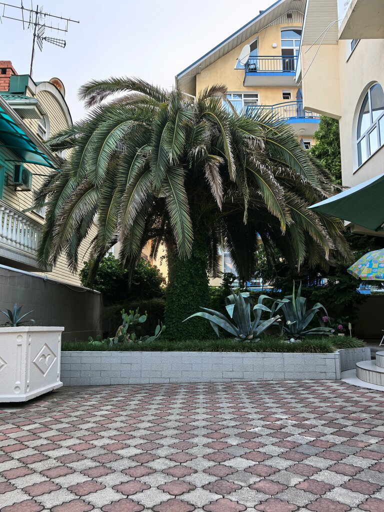 Otel Maretel, Soçi, foto