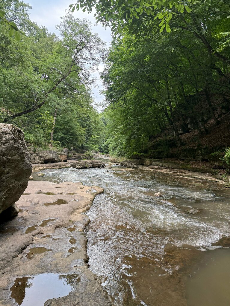 Kamp alanları Lastiver Campground, Tavuş, foto
