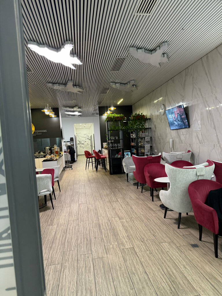 Salonlar ve bekleme alanları Бизнес-зал Шантары, Habarovsk, foto