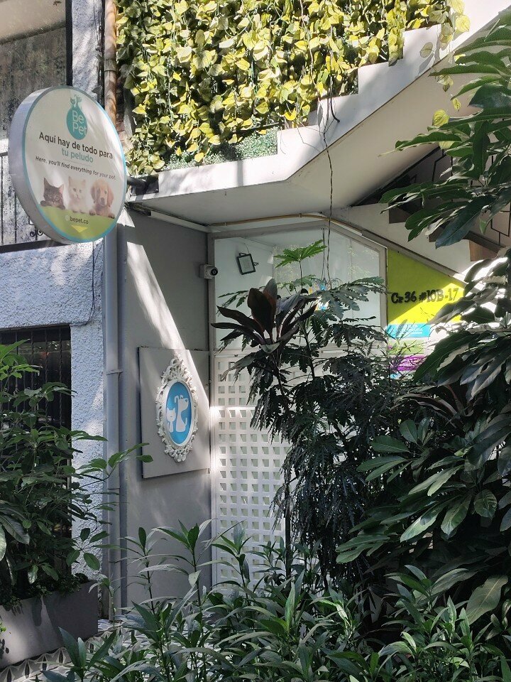 Veteriner klinikleri Vipet Veterinaria Integral, Medellin, foto