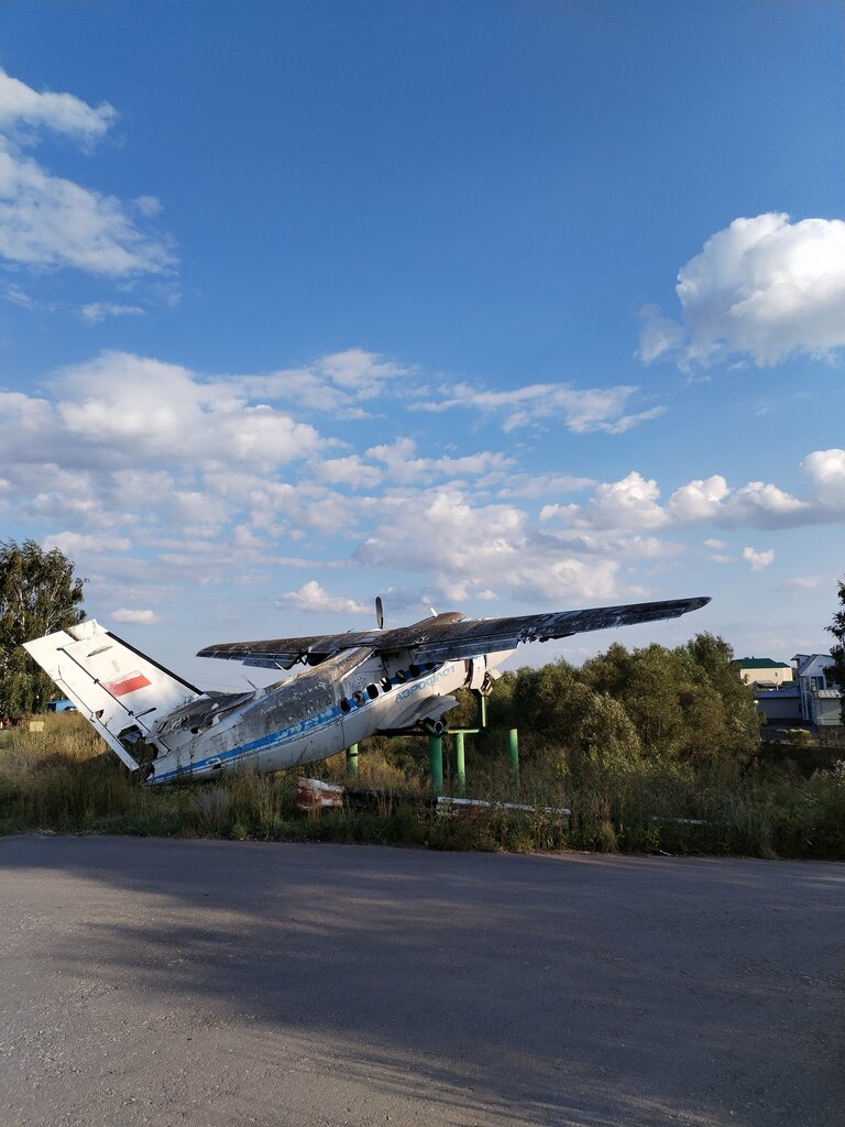 Teknoloji anıtı Пассажирский самолёт L-410, Saratovskaya oblastı, foto