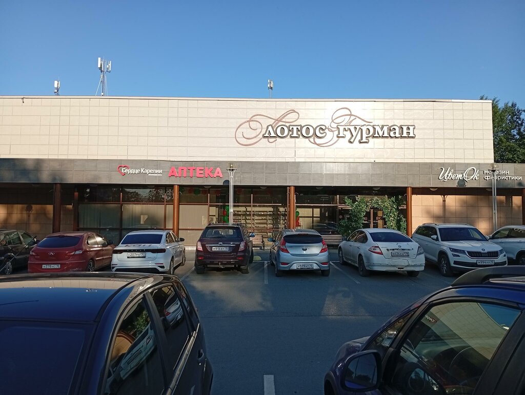 Eczaneler Serdce Karelii, Petrozavodsk, foto