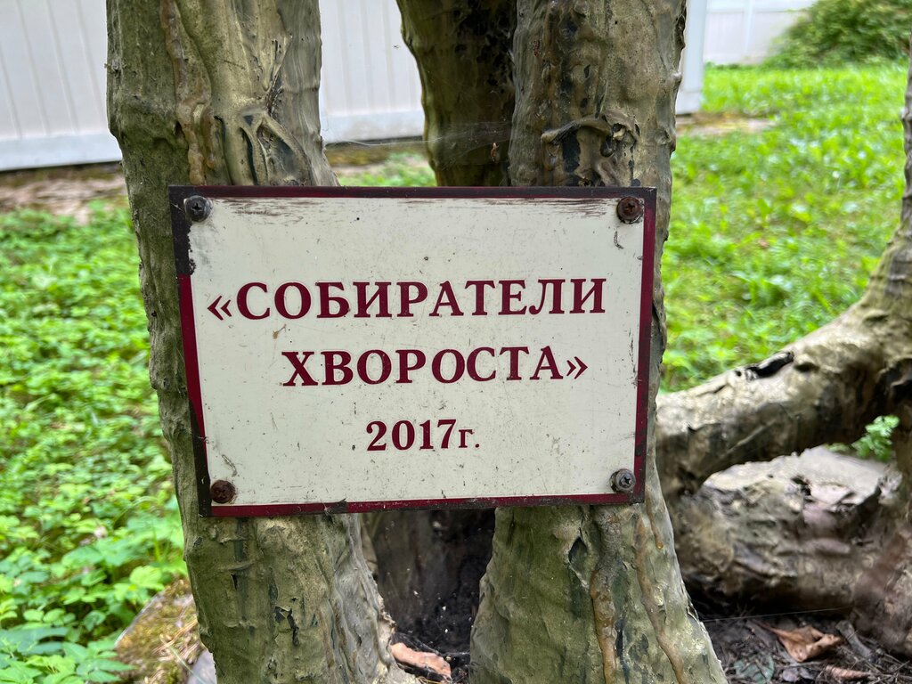 Park, sokak heykeli Собиратели хвороста, Zelenogorsk, foto