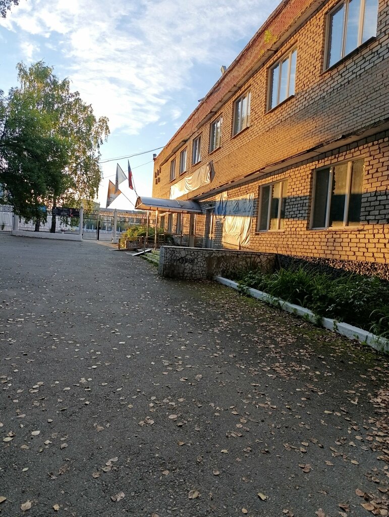Çok amaçlı spor tesisleri Ледовый дворец Мечел, Çeliabinsk, foto