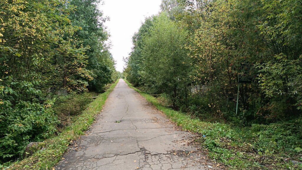 Mezarlıklar Софийское кладбище, Rybinsk, foto