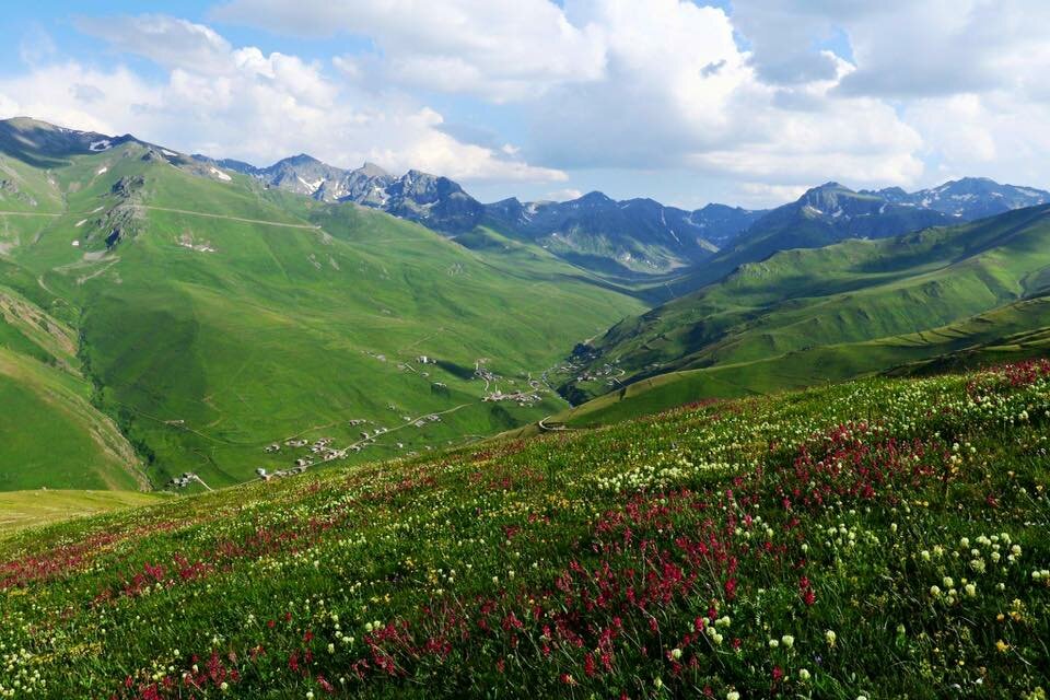Bal ve arıcılık firmaları Anzer Balı Kooperatifi, Rize, foto
