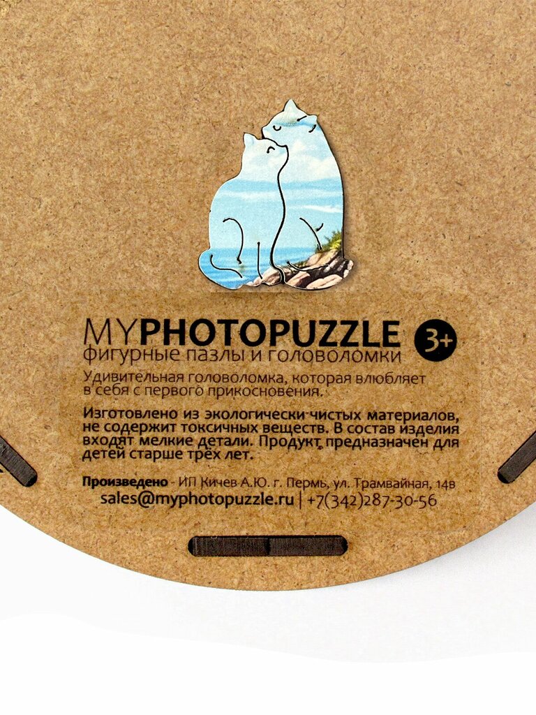 Çocuk oyunları ve oyuncakları Myphotopuzzle, Perm, foto