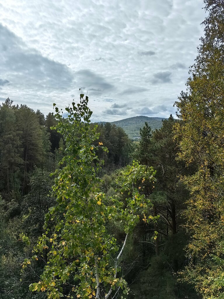 Dağ zirvesi Скала Ольгин камень, Çeliabinskaya oblastı, foto